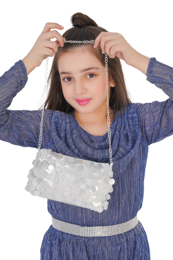 Silver Hand Bag – Zilenoor Collection
